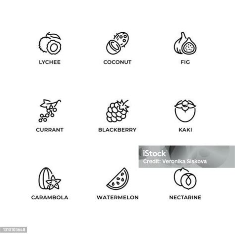 디자인 요소 로고 디자인 템플릿 과일을 위한 아이콘 및 배지의 벡터 집합입니다 아이콘에 대한 스톡 벡터 아트 및 기타 이미지 아이콘 리치 스타프룻 Istock