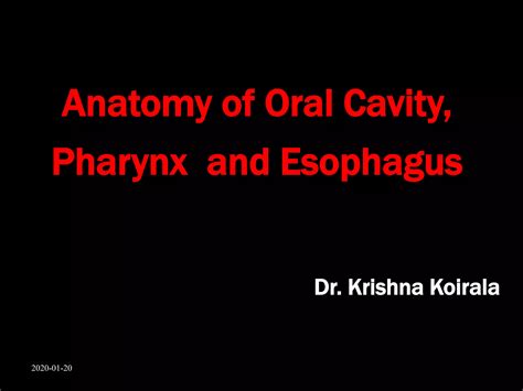 1 Anatomy Of Oral Cavity Pharynx And Esophagus Ppt