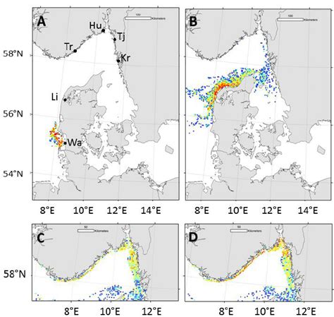 2 Source Populations For Oceanographic Modelling Wadden Sea Wa Download Scientific Diagram