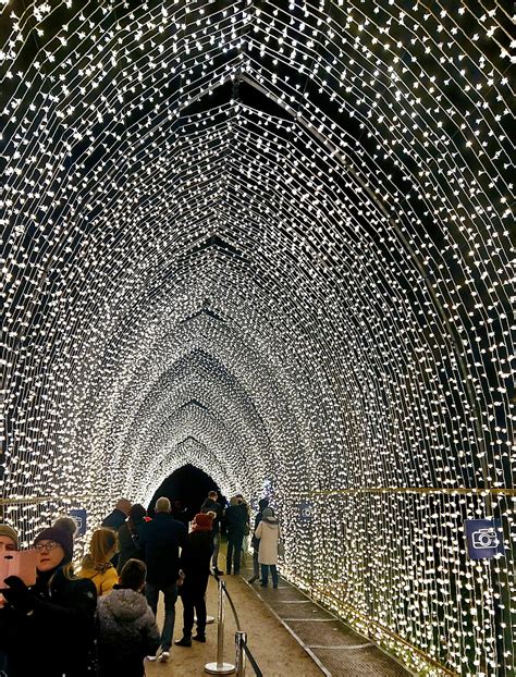 아치 스터헤드 Pixabay의 무료 사진 Pixabay