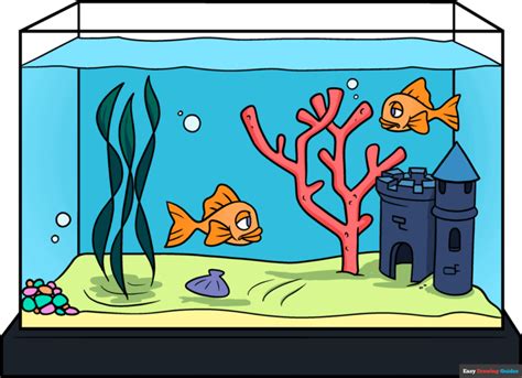 Fish Tank Ki Drawing At Chelsea Frome Blog