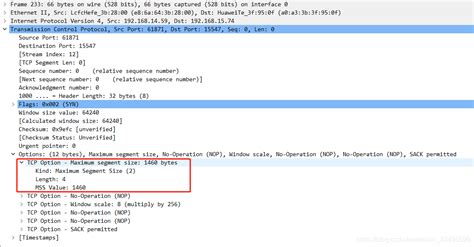tcp 三 mtu mss csdn博客