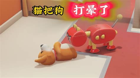 猛兽派对1猫把狗打晕了？这猫不是一般的猫吧？高清1080p在线观看平台腾讯视频