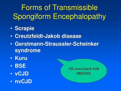 Ppt Transmissible Sponorm Encephalopathies Prion Disorders