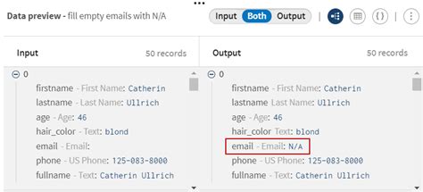 Generating Test Customer Data And Processing It Talend Cloud Apps Connectors Guide Help