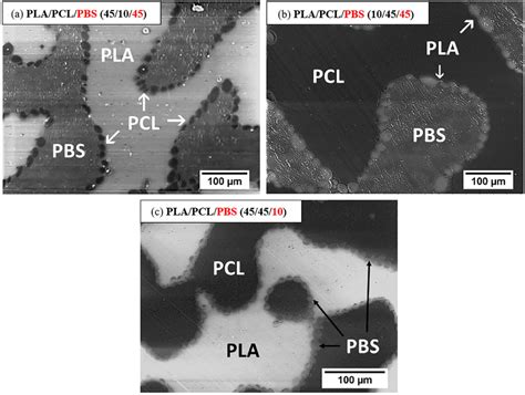 Morphology Of The Ternary Blends Pla Pbs E Pcl With Variable