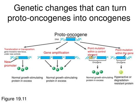 Ppt 34 Cancer Powerpoint Presentation Free Download Id 1725151