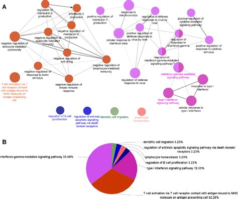 Cluego Enrichment Analysis Significantly Enriched Go Terms Of Degs In