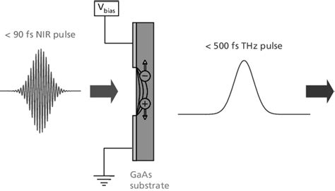 Generation Of Pulsed Terahertz Radiation In A Gallium Arsenide Gaas Download Scientific