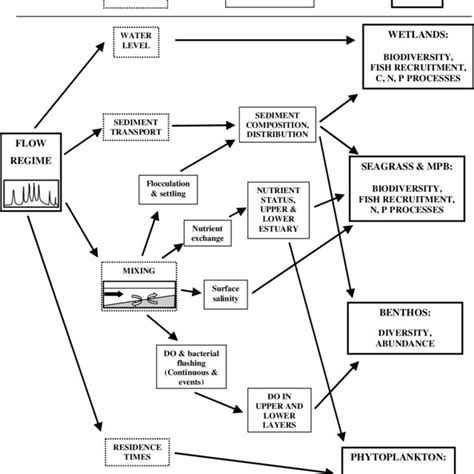 Conceptual Model Of The Links Between River Flow Regime And Download Scientific Diagram