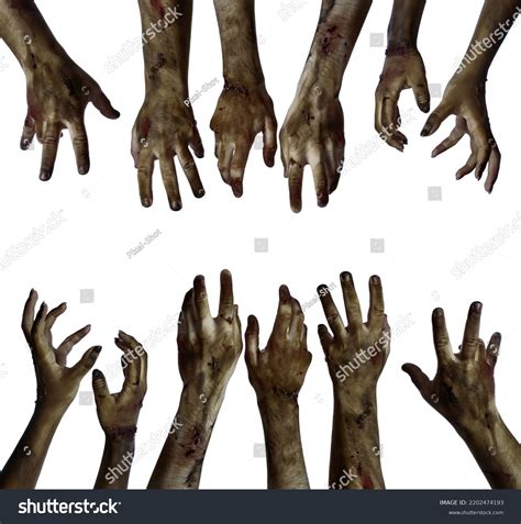 Zombie Hands Reaching Out