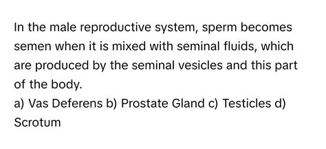 Solved In The Male Reproductive System Sperm Becomes Semen When It Is