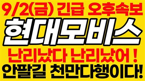 현대모비스 주가전망 현대모비스주가전망현대모비스주가현대모비스전망현대모비스분석현대모비스목표가현대모비스 최고가 현대