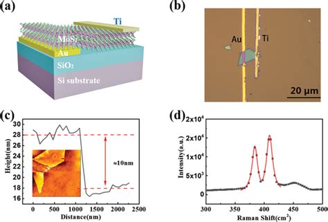 A The 3d Schematic View Of The Lateral Mos2 Schottky Photodetector B