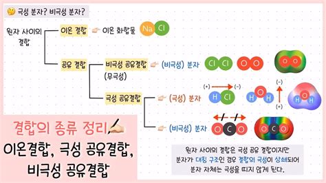 결합의 종류 이온결합 극성 공유결합 무극성 공유결합 Youtube