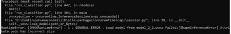 Failed Shapeinferenceerror Attribute Pads Has Incorrect Size When Using Onnxruntime To Infer