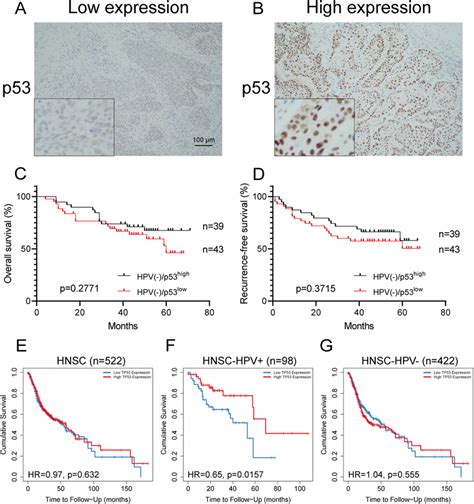 Patterns Of P53 Protein Expression And Prognostic Significance Of P53
