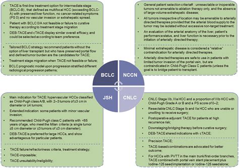 Role Of Transarterial Chemoembolization In The Treatment Of Hepatocellular Carcinoma