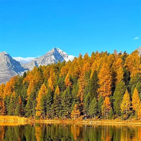 Marco Marques Swiss Beautiful On Instagram 🇨🇭do You Want To Come To Switzerland And Stay