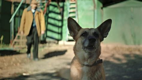 Naida (2019) | MUBI