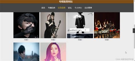【附源码】java计算机毕业设计专辑鉴赏网站（springbootmysql开题论文） Csdn博客