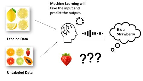 Supervised Learning In Machine Learning