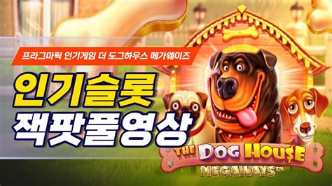 슬롯 프라그마틱 슬롯게임 도그하우스 개집 잭팟 Youtube