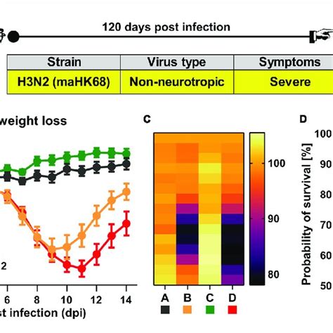 H3n2 Iav Infection In Appswe Psen1de9 Mouse Model A 2 Months Old Download Scientific