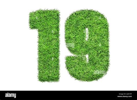 19 Number In Green Grass Filled The Character Isolated From A White