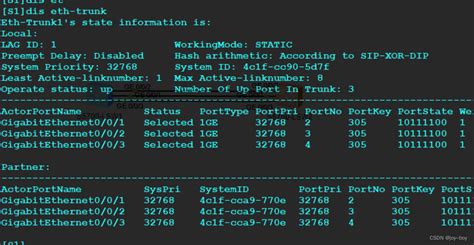 Hcia Datacom实验五 Csdn博客