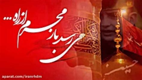 انواع سایز سینه