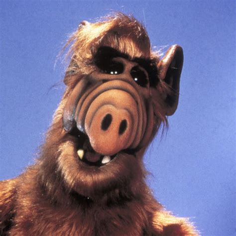 Alf Blank Template Imgflip
