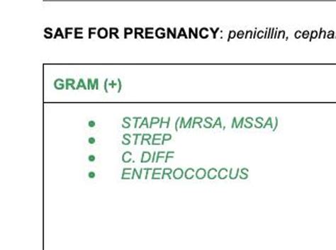 Antibiotics Cheat Sheet Digital Download Etsy