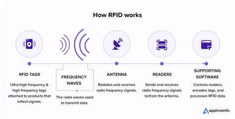 Rfid Asset Tracking System A Uae Implementation Guide