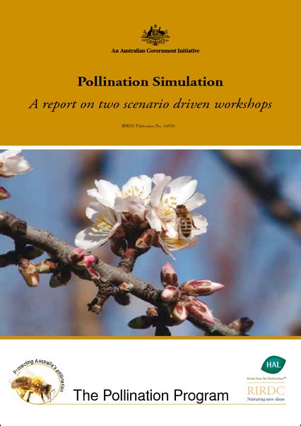 pollination simulation a report on two scenario driven workshops