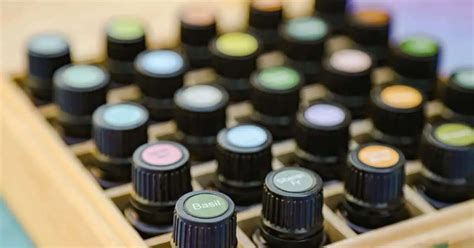 10 Best Battery Operated Diffusers For Home Office And Car Best Home Aroma