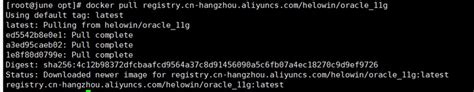 实验二 Docker实验 萧贾jzm 博客园