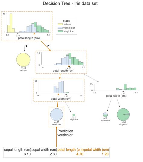 beautiful decision tree visualizations with dtreeviz towards data science