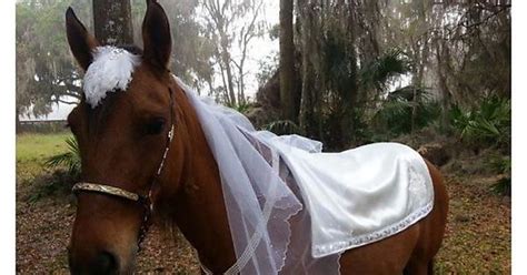 And I Chime In Album On Imgur