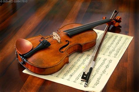 VIOLIN Octubre 2014