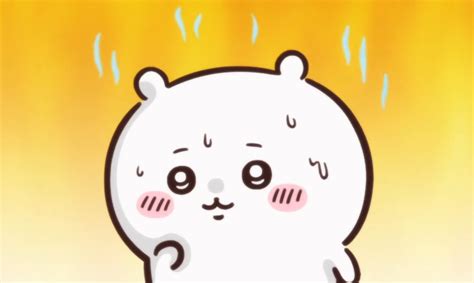 더쿠 [먼작귀] 수영하는 먼작귀들 Shorts