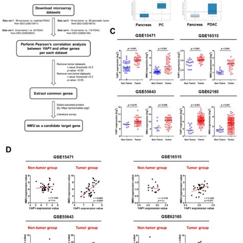 Construction Of Prediction Models And Validation In Multiple Databases