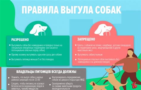 Уважаемые владельцы домашних животных, соблюдайте правила выгула собак ...