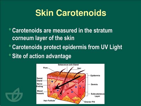 Ppt Assessment Of Human Carotenoid Status Using Raman Spectroscopy Powerpoint Presentation