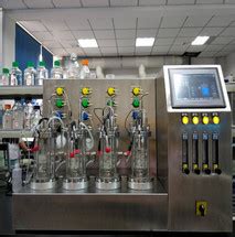 Lab St Bioreactor Projects