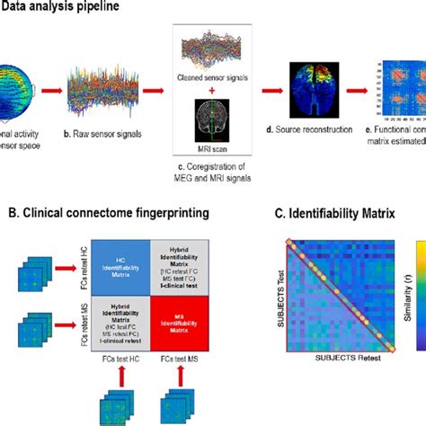 Multilinear Regression For Fatigue Severity Scale Prediction Fss Download Scientific Diagram