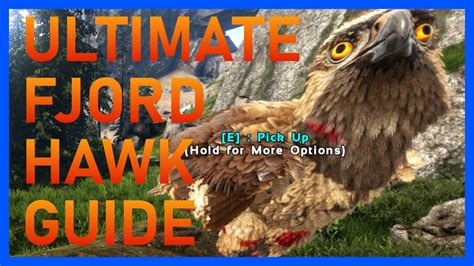 How To Tame A Fjordhawk Youtube