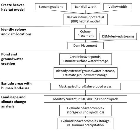 2 Flowchart Showing Steps In Model Predicting Inputs And Outputs