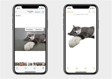 Ios 16 делимся 8 классными фишками — Журнал Ситилинк