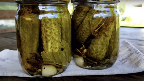 Простий рецепт маринованих огірків на зиму — без стерилізації та зайвих клопотів Новини Live